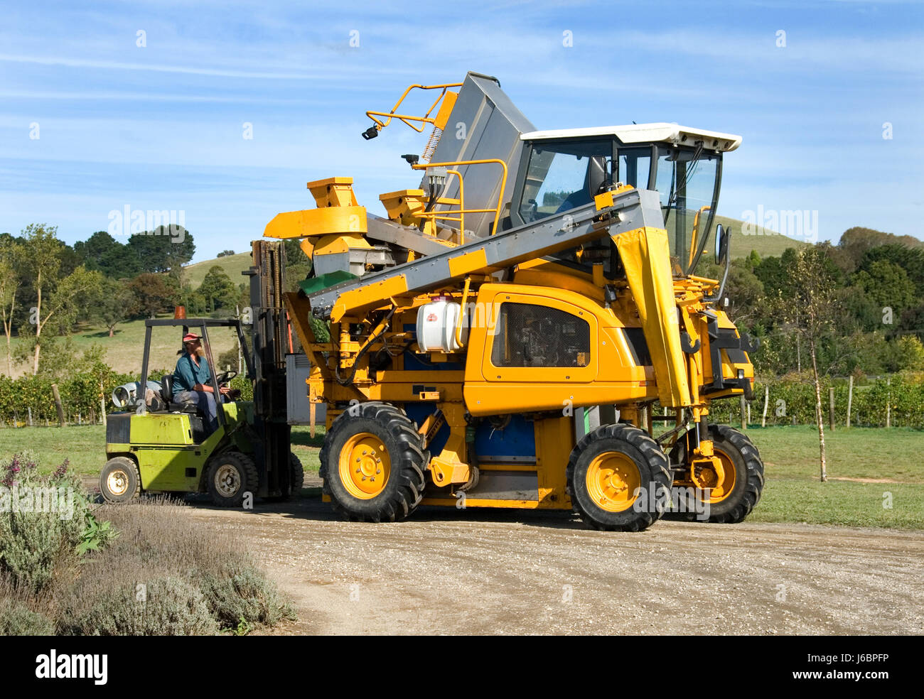 agriculture farming vineyard driver wineyard harvester winery machine ...