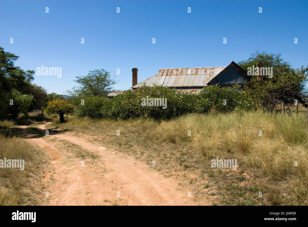 house building tree trees bushes australia corrugated rust driveway ...