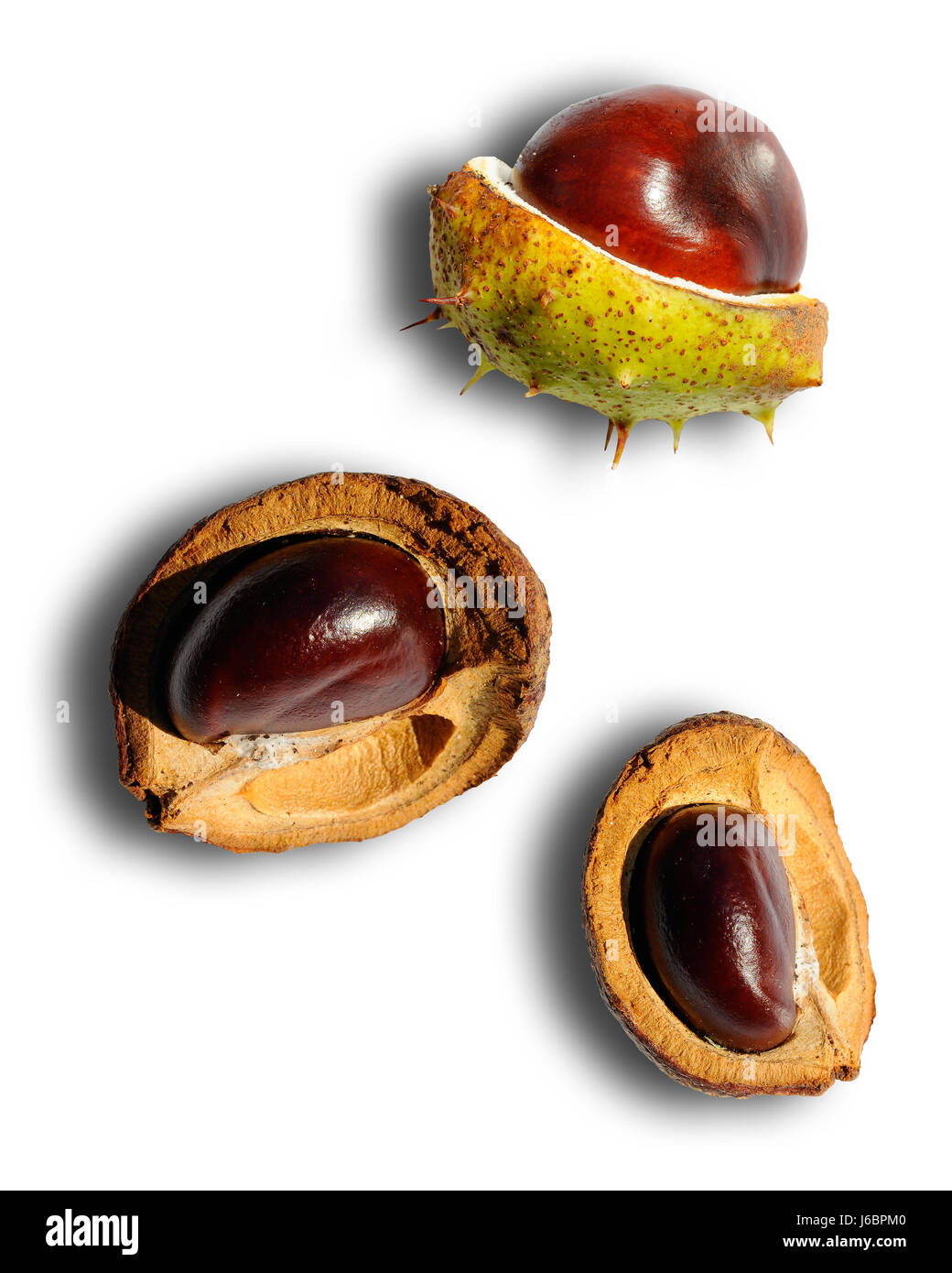 Designvorlage hi-res stock photography and images - Alamy