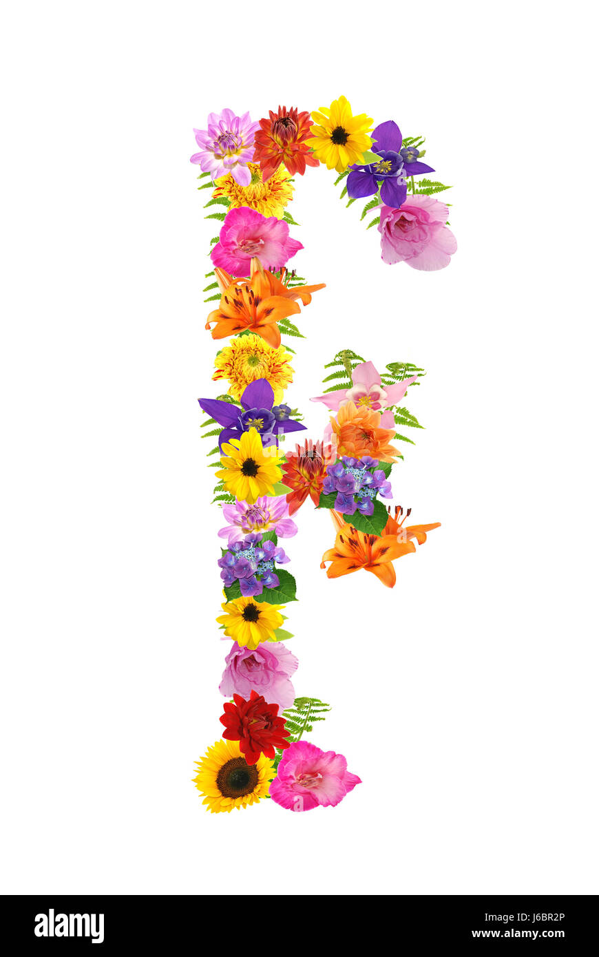 flower flowers plant letters letter alphabet coloured colourful ...