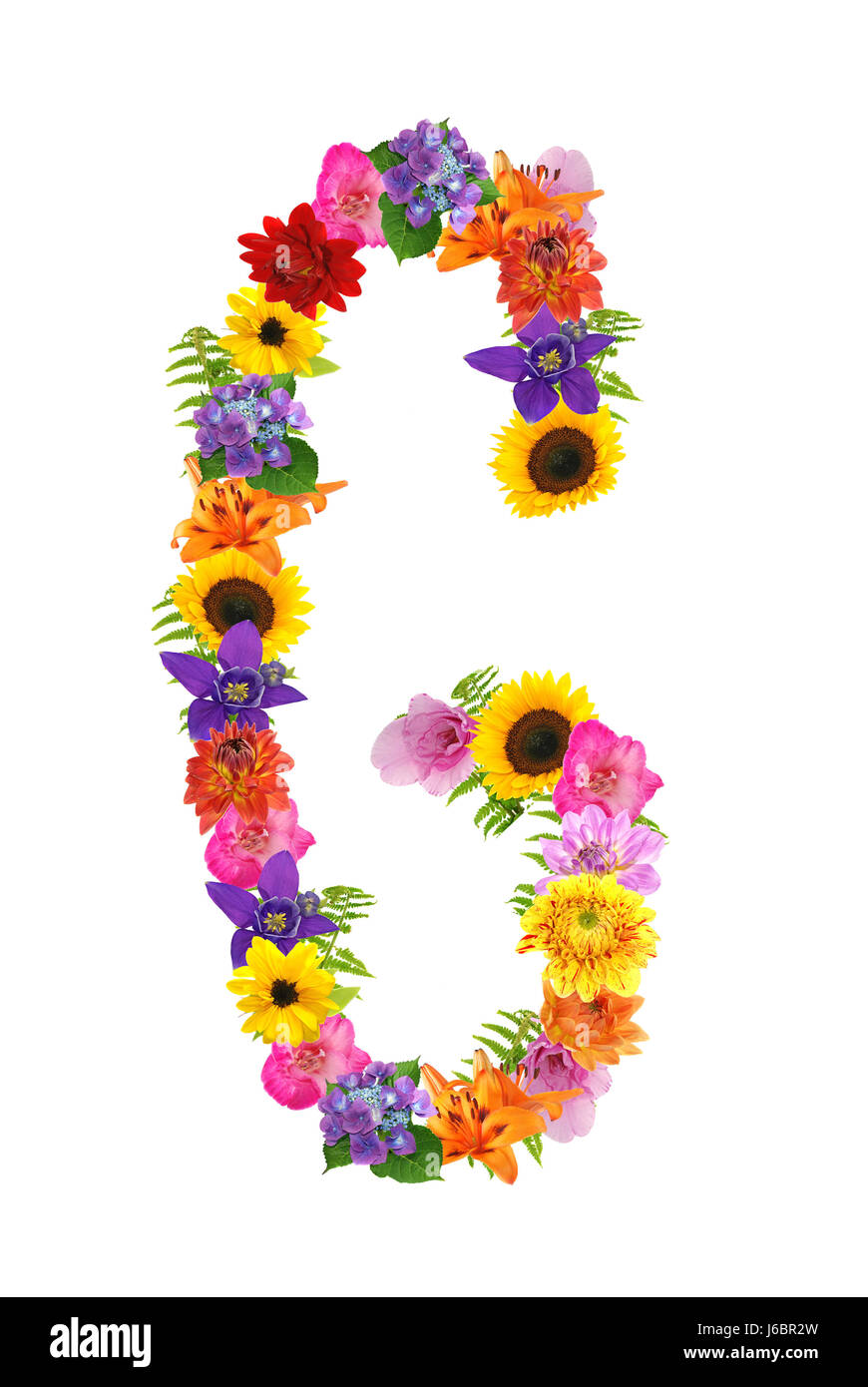 Letter g flowers hi-res stock photography and images - Alamy