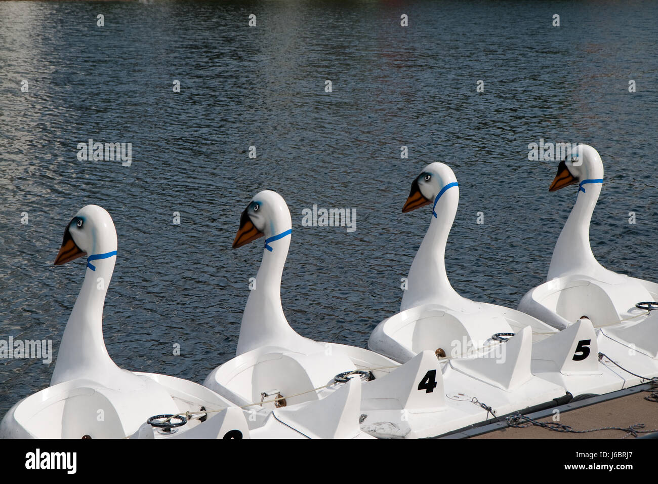 five swans swan four tethered pedal boat bank rowing boat sailing boat ...