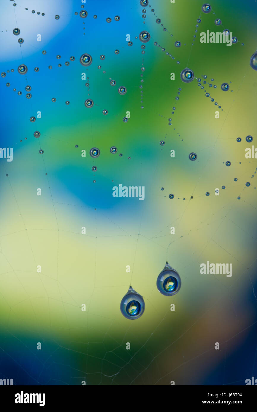 Planet of the spiders hi-res stock photography and images - Alamy