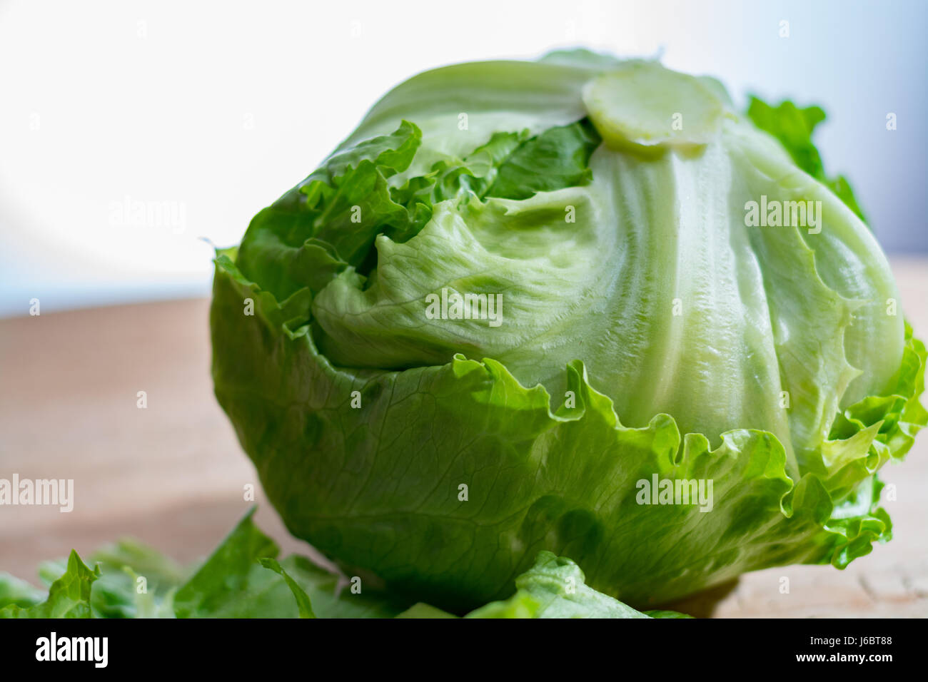 Iceberg lettuce, green vegetable from local market Stock Photo - Alamy