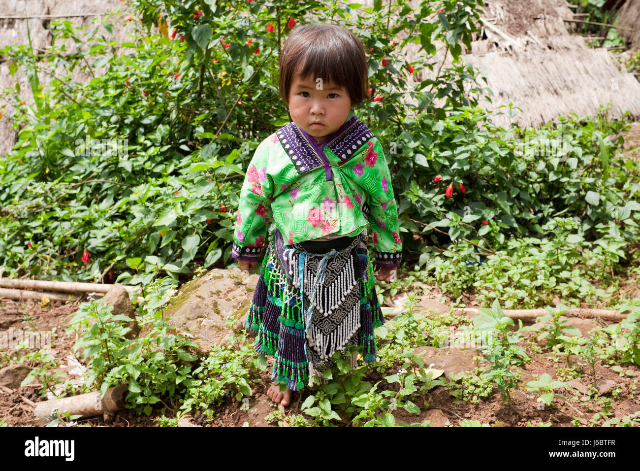 girls from asia,ethnic group meo Stock Photo - Alamy