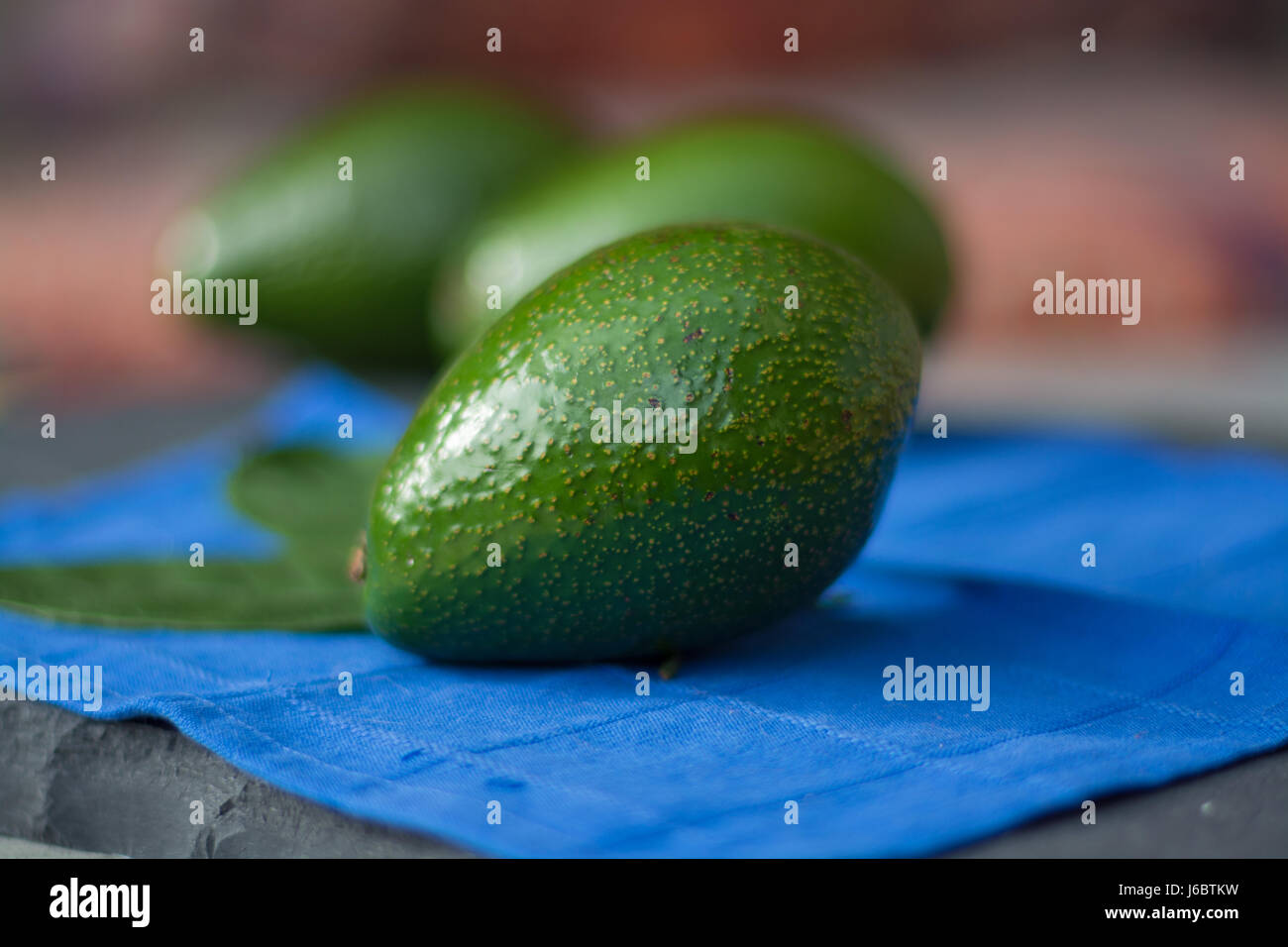 Green ripe tropical vegetable avocados ready to eat Stock Photo - Alamy