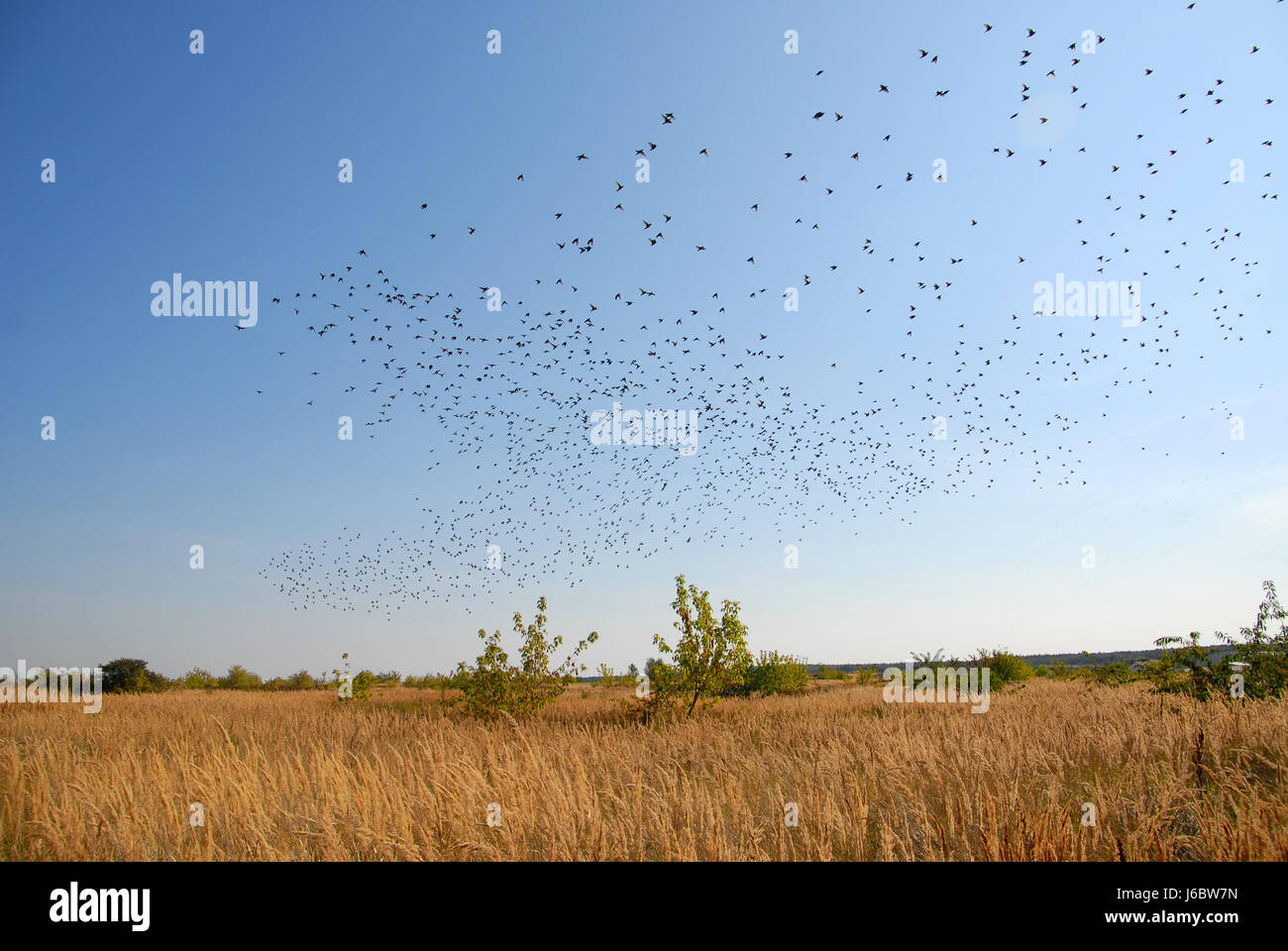 Fly bye hi-res stock photography and images - Alamy