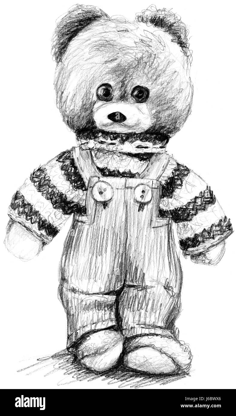 Realistic Teddy Bear Drawing