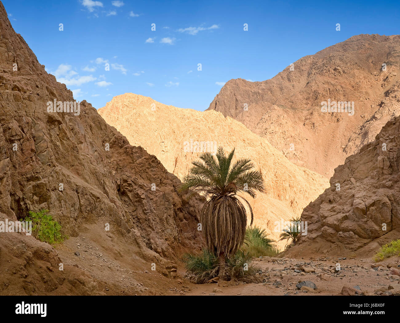 desert wasteland oasis valley egypt wadi mountain desert wasteland ...