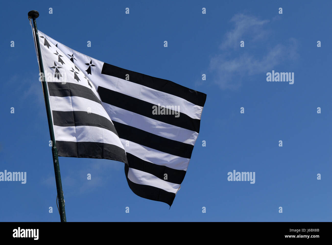 Black Ermine High Resolution Stock Photography and Images - Alamy