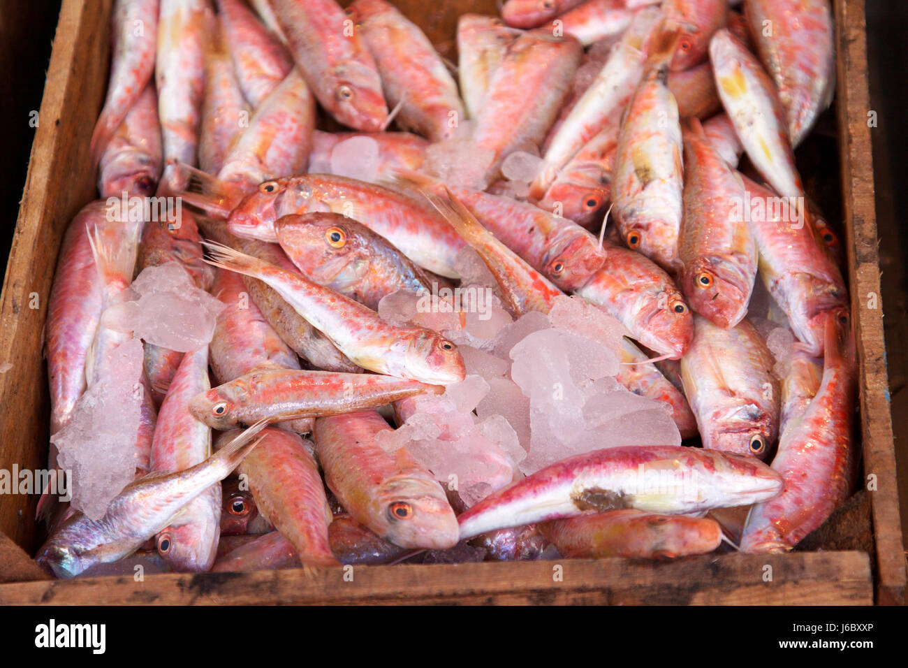 food aliment fish shop window fish-market weekly market marketplace ...