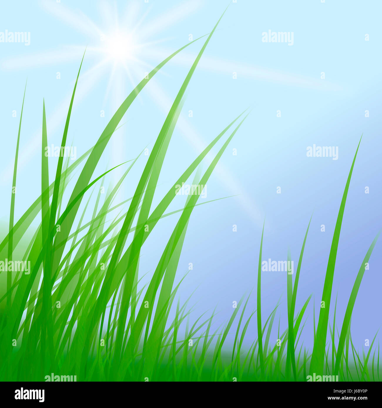 graphic green illustration blades of grass blade of grass grass meadow ...