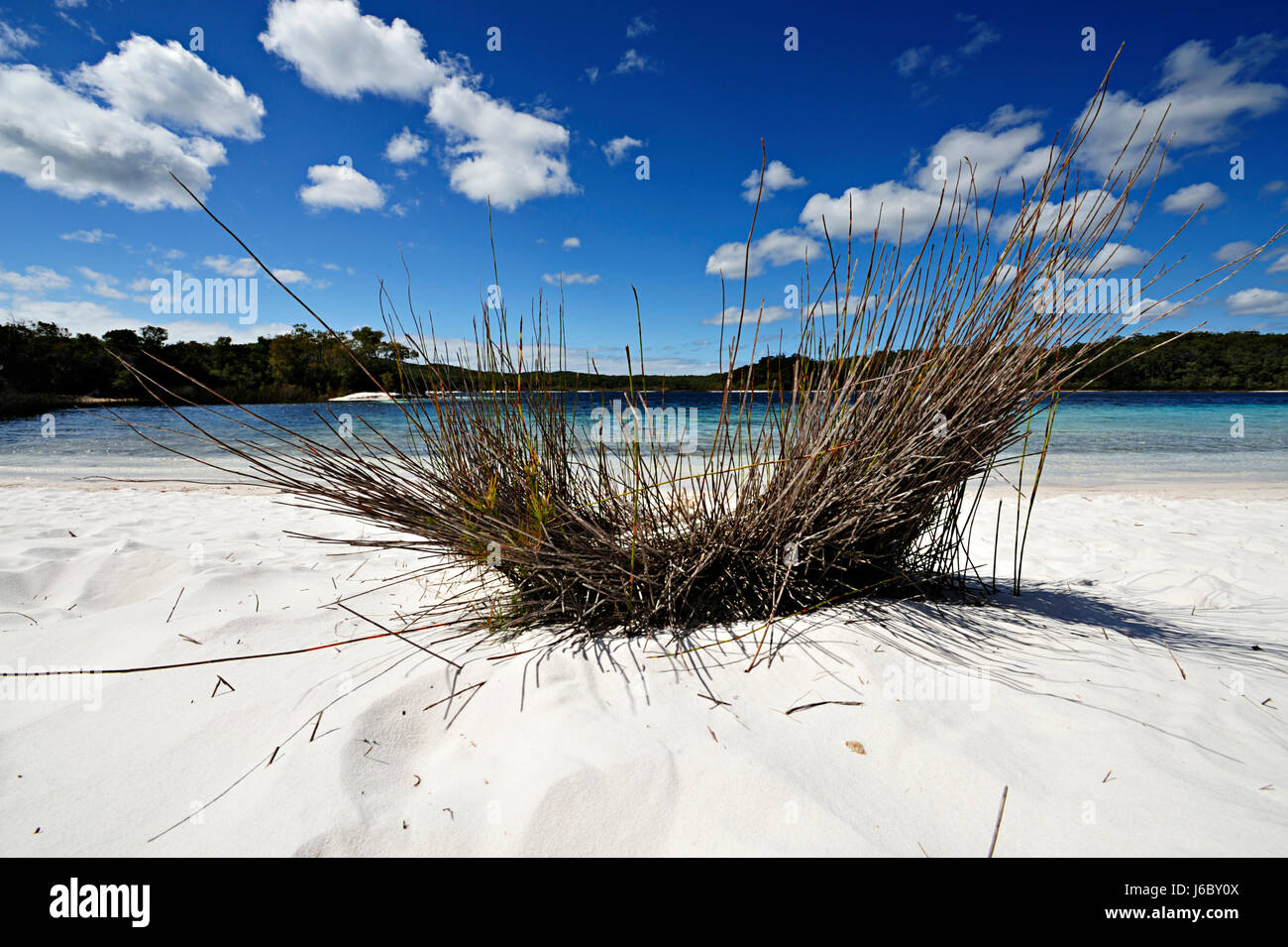 australia bush iceland salt water sea ocean water blue environment ...