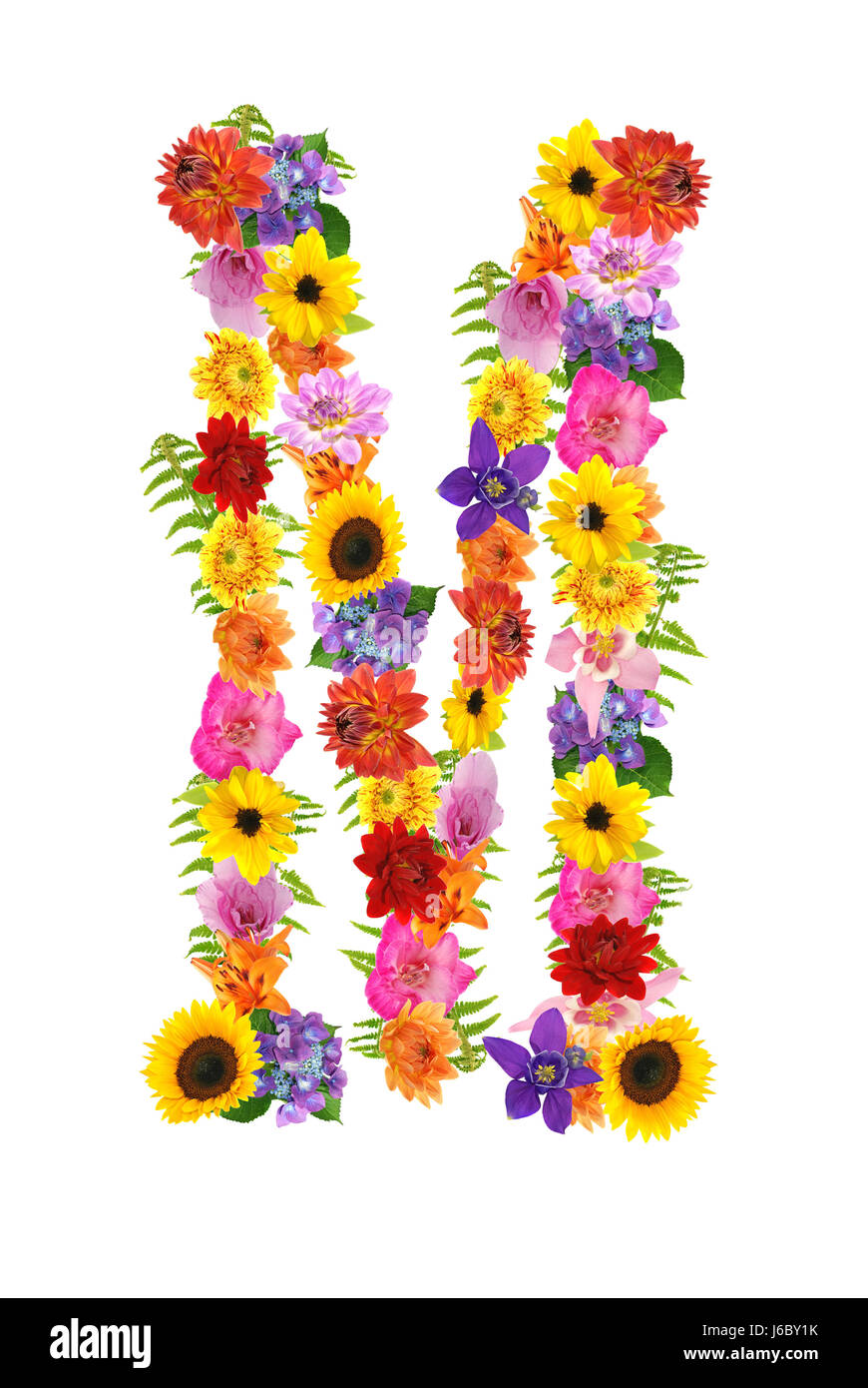 flower flowers plant letters letter alphabet symbolic coloured ...