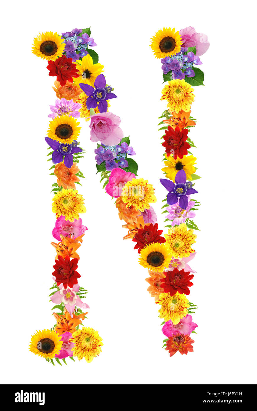 flower flowers plant letters letter alphabet symbolic coloured ...