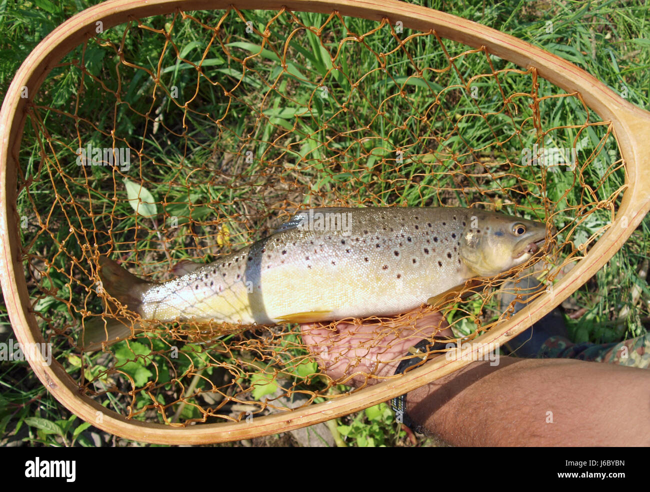Trout fishing location hi-res stock photography and images - Alamy