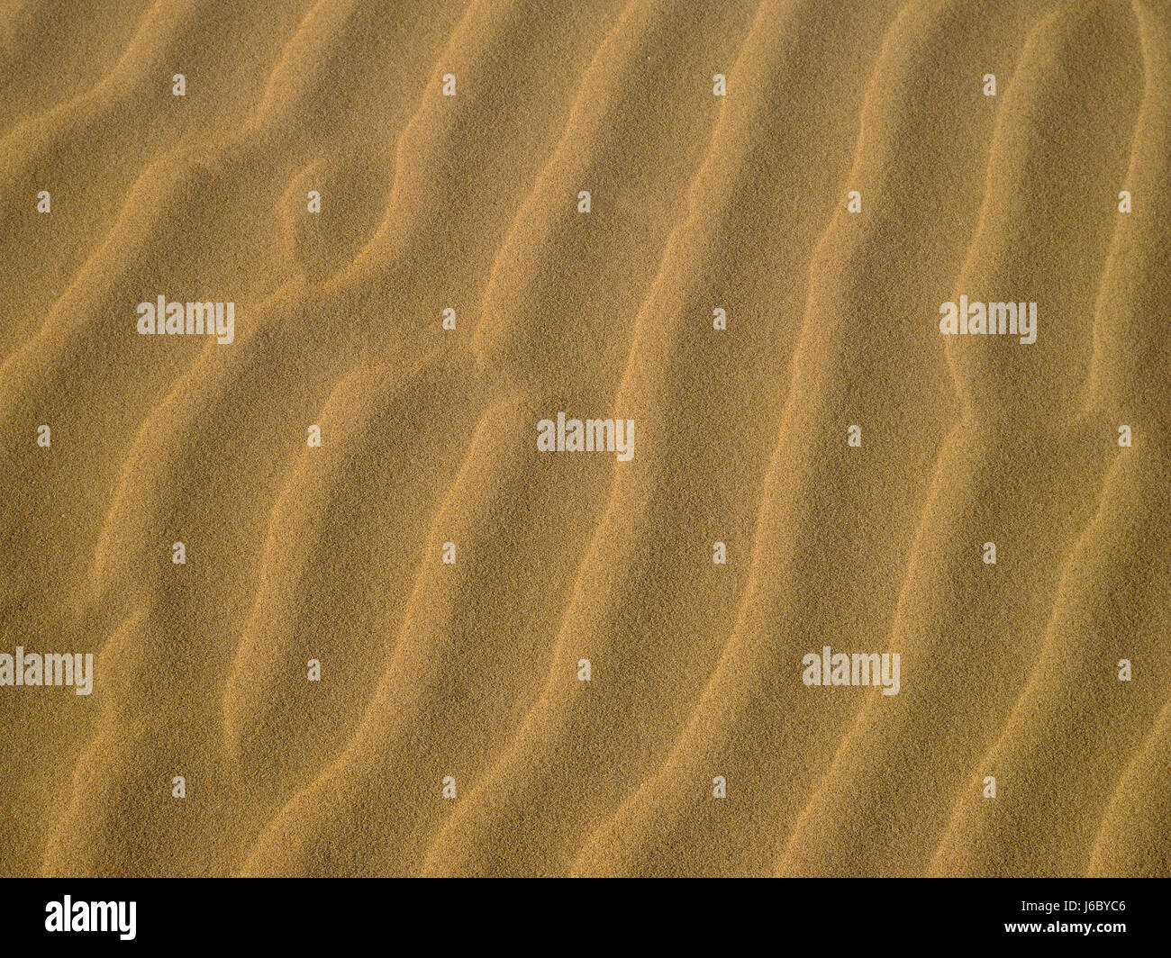beach seaside the beach seashore sandy beach grains of sand structure ...