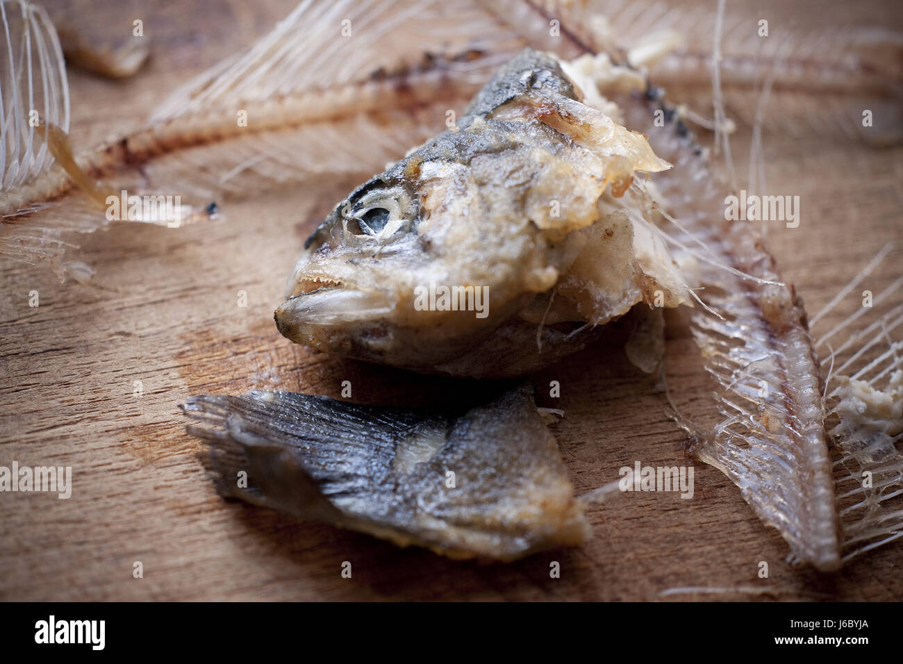 Fish head and body bones hi-res stock photography and images - Alamy