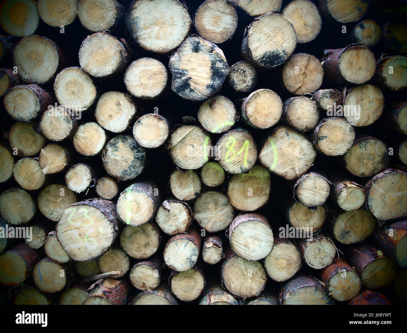 wood woodcarving forestry wood tribes timber stratified woodcarving ...