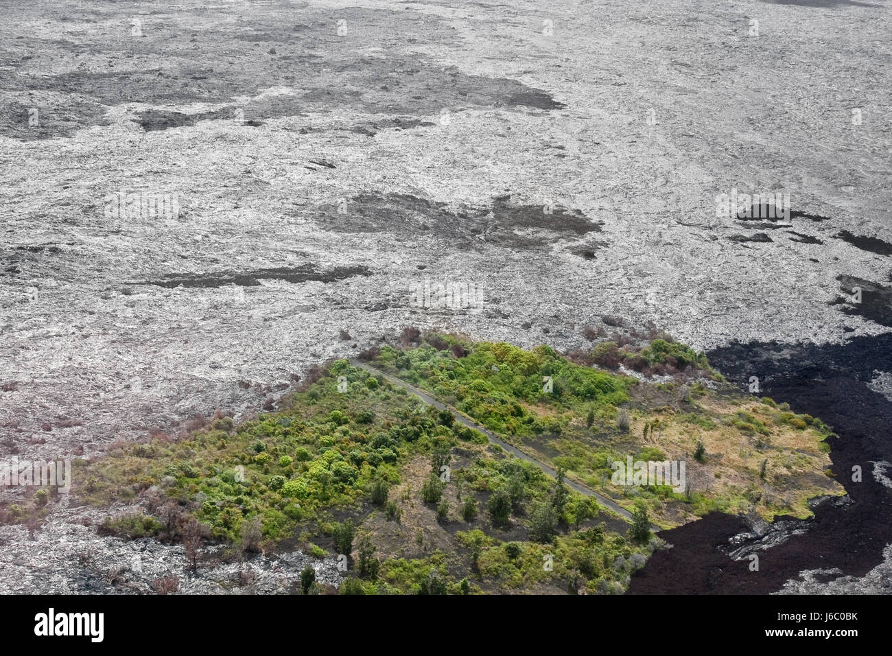Lava volcano plant hi-res stock photography and images - Alamy