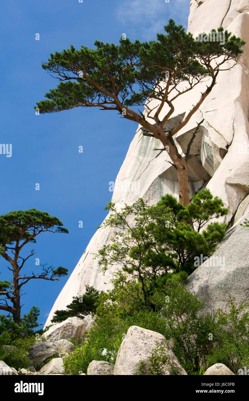 seoraksan national park,south korea Stock Photo - Alamy