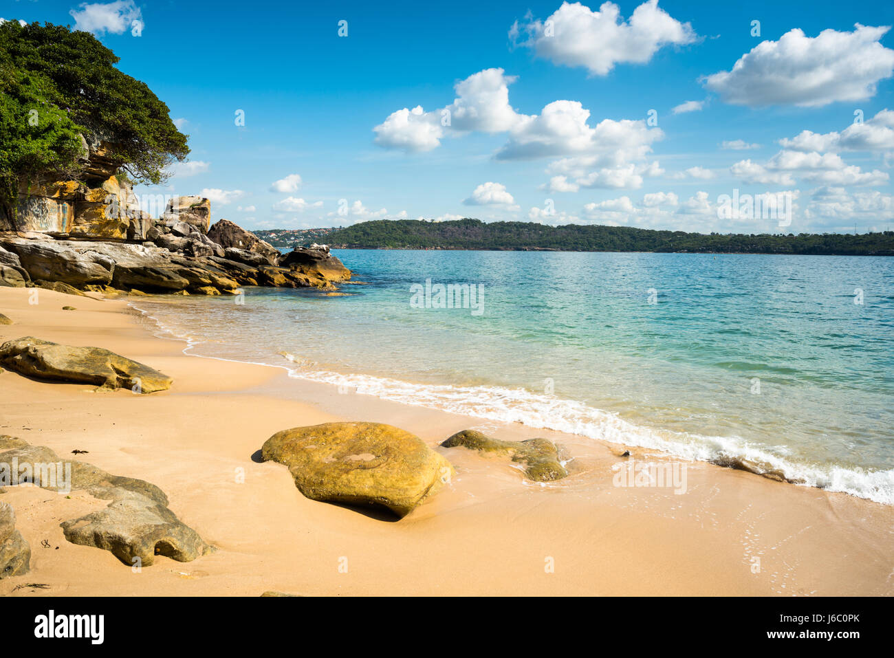 Lady Bay Beach, Watson's Bay, Sydney, Australia Stock Photo - Alamy