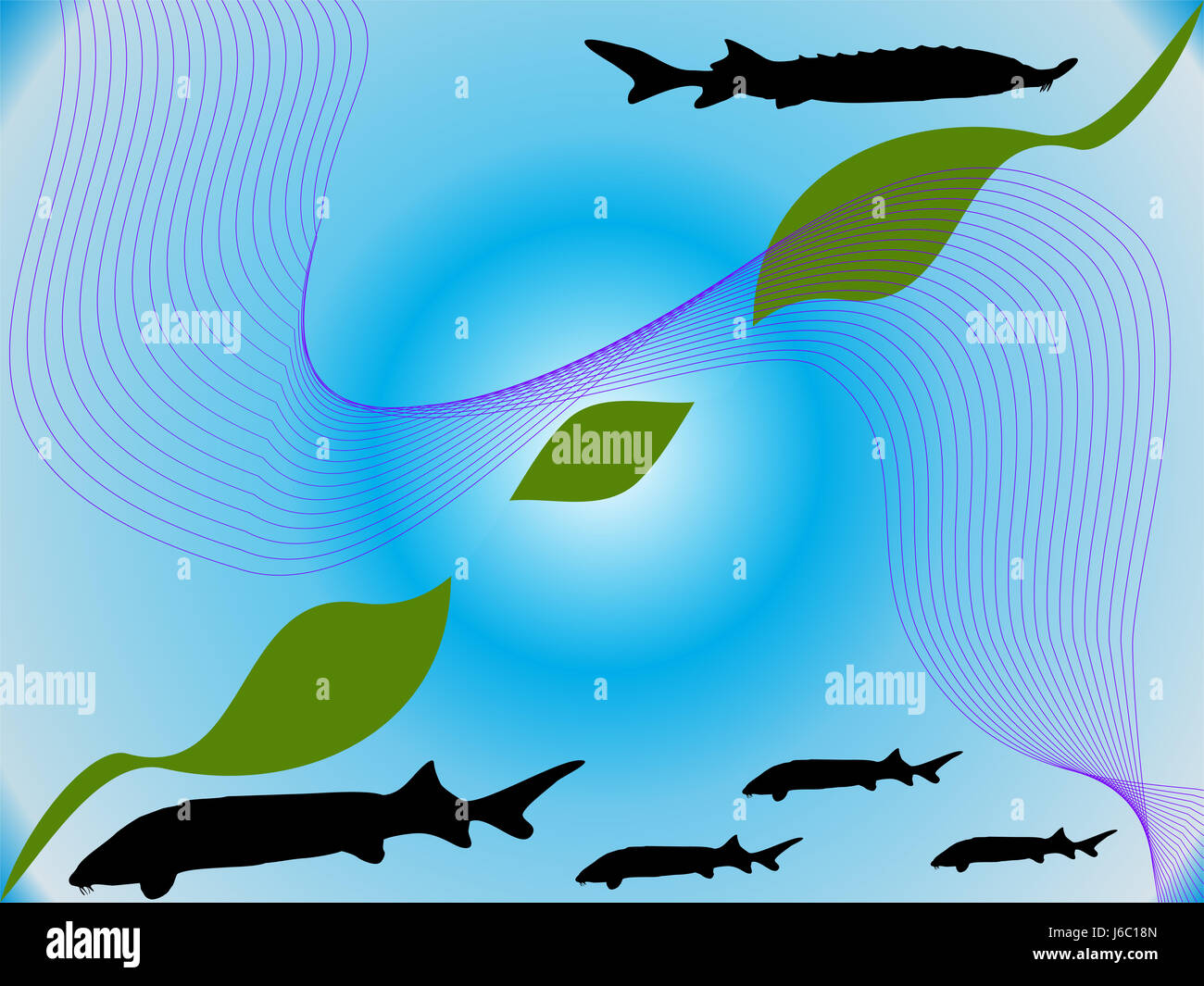 blue green fish silhouette sturgeon backdrop background water blue ...