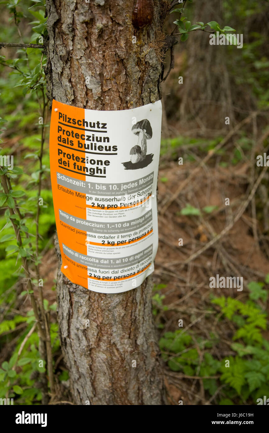 warning ban close season sign signal grisons mushroom fungus warning ...