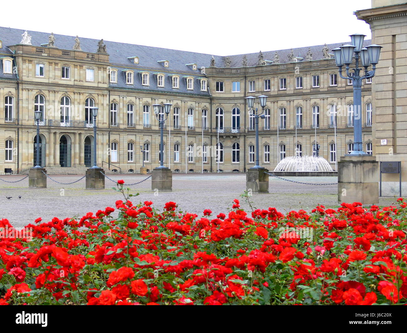 city town square stuttgart provincial capital city town lion cat big ...