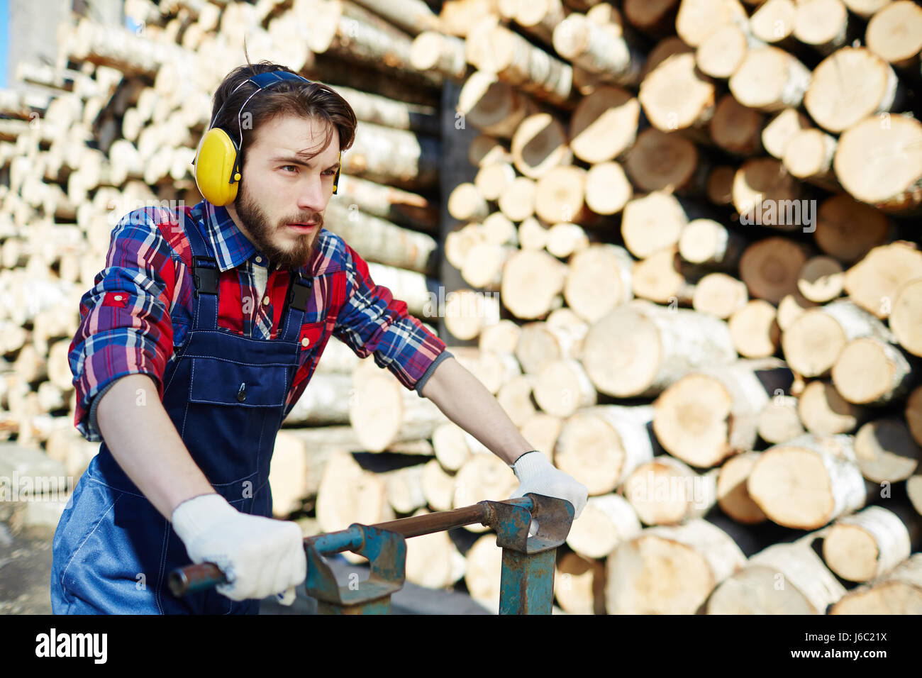 Timber cutting hi-res stock photography and images - Alamy