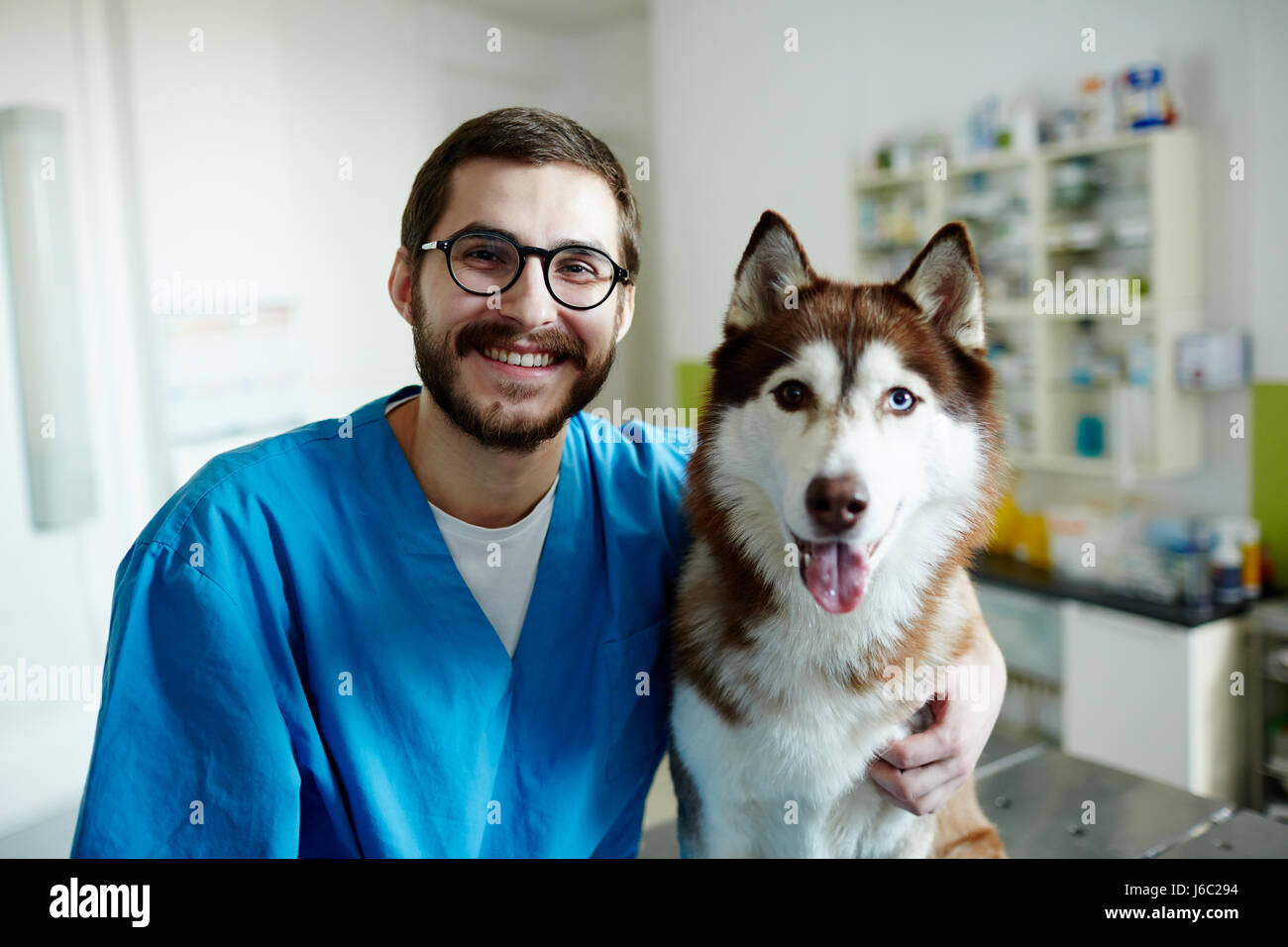 Happy vet doctor and one of his fluffy patients Stock Photo - Alamy