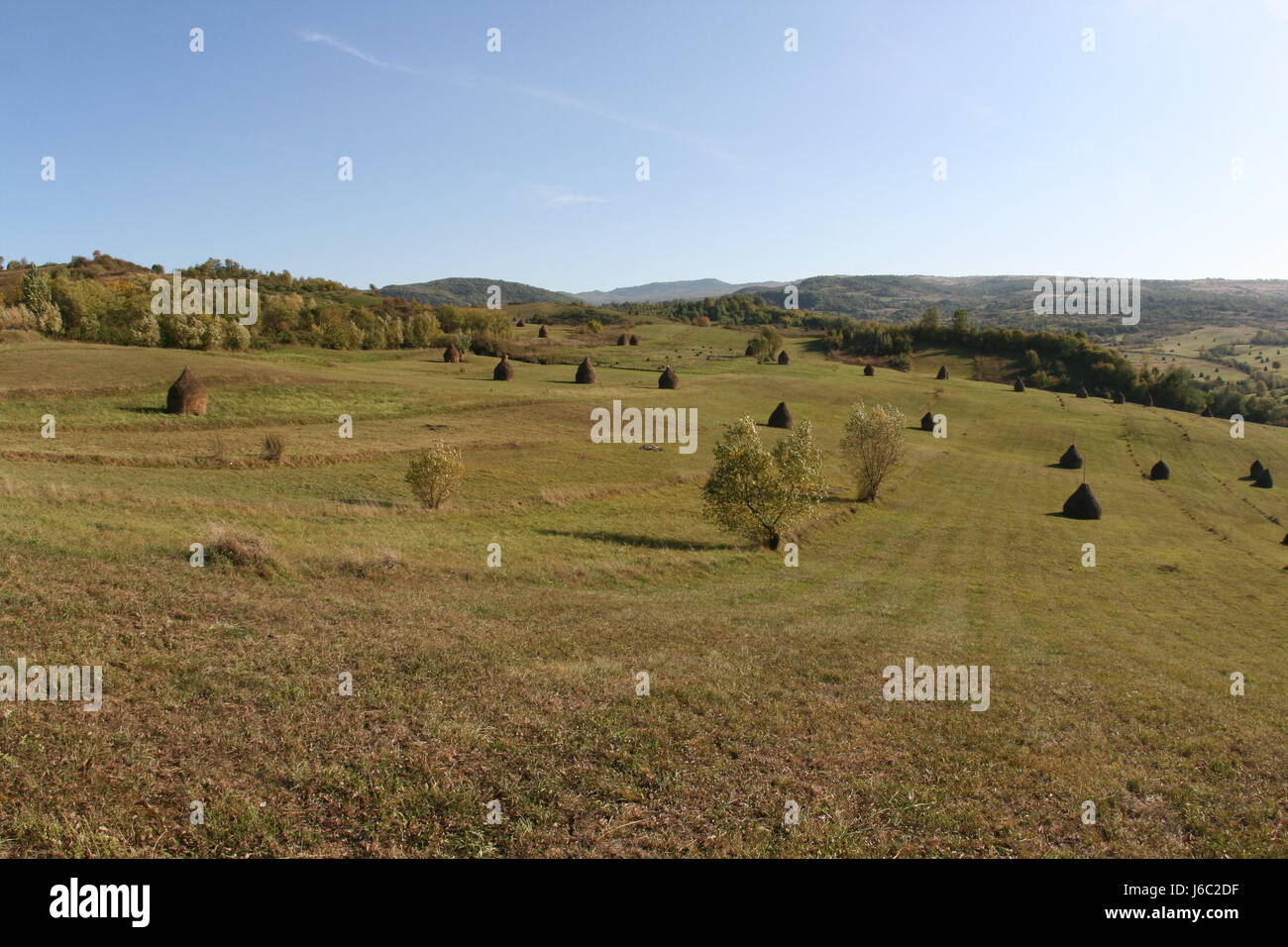 romania haycocks transylvania meadows valley level hay unaffected ...