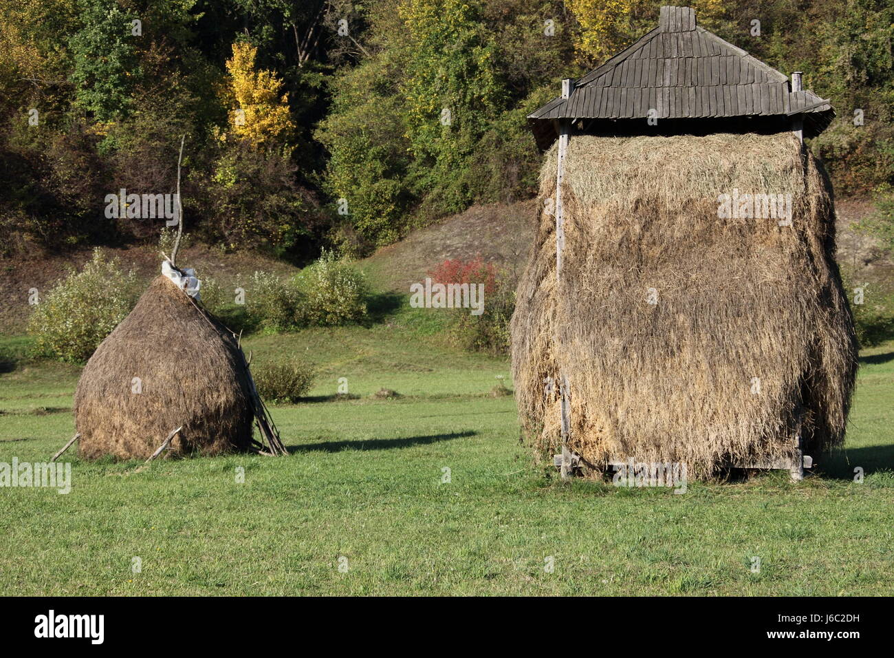 romania haycocks transylvania hay romania haycocks meadow transylvania ...