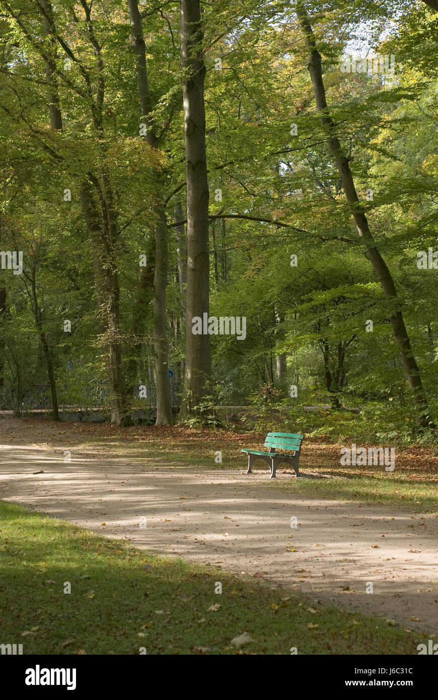 seat trail landscape scenery countryside nature bench path way forest ...