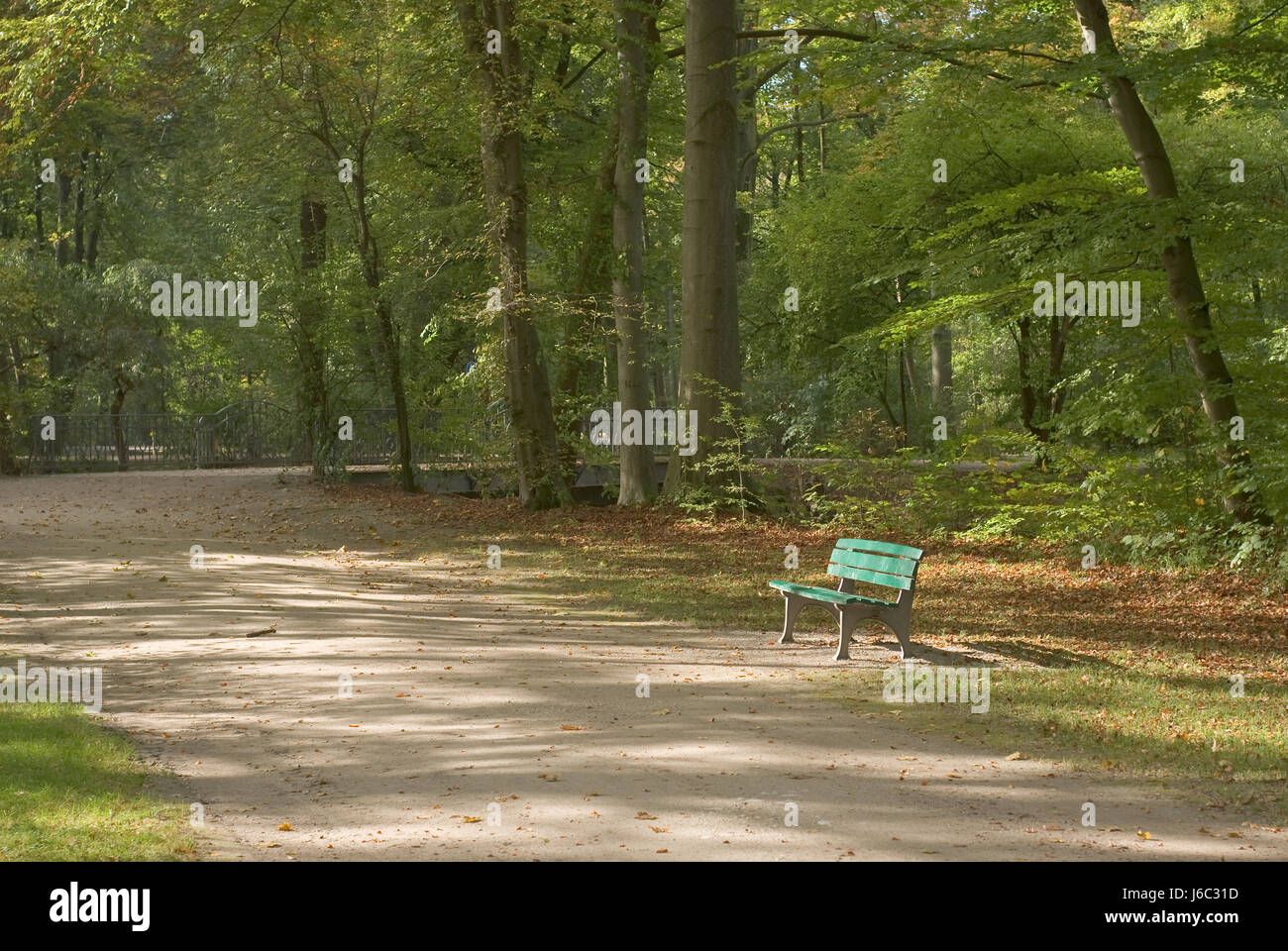 seat trail landscape scenery countryside nature bench path way forest ...