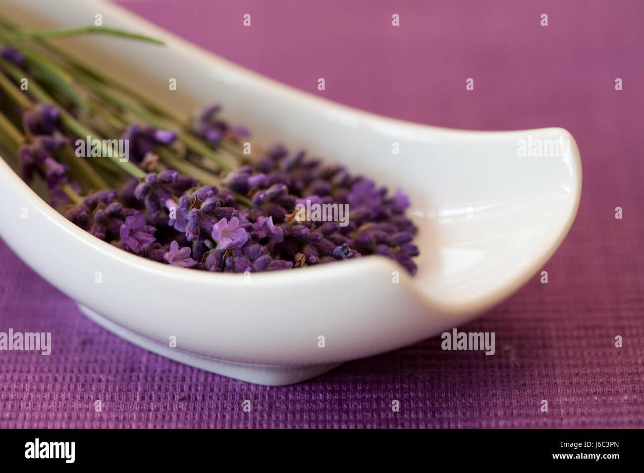 blossoms violet china still life lavender composition bleed smashing ...