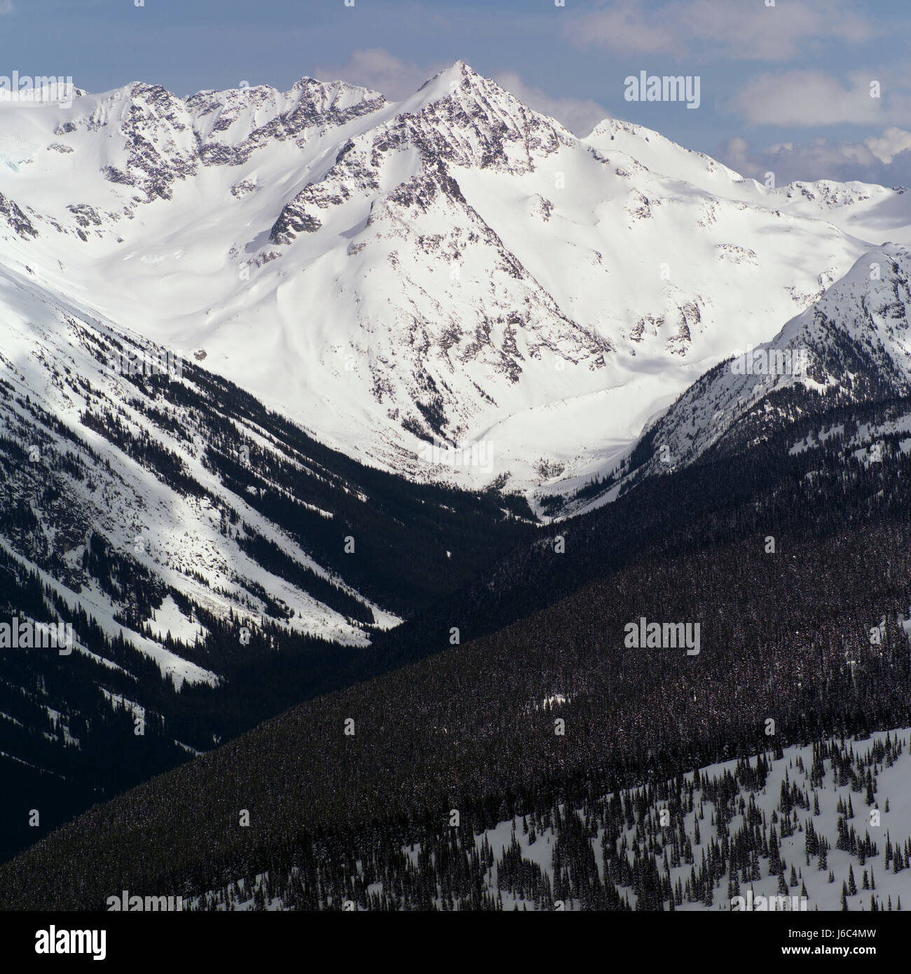 Coke Tops High Resolution Stock Photography and Images - Alamy