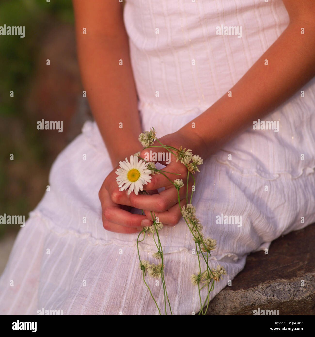 hand hands female flower plant person usa youth innocence daisy ...