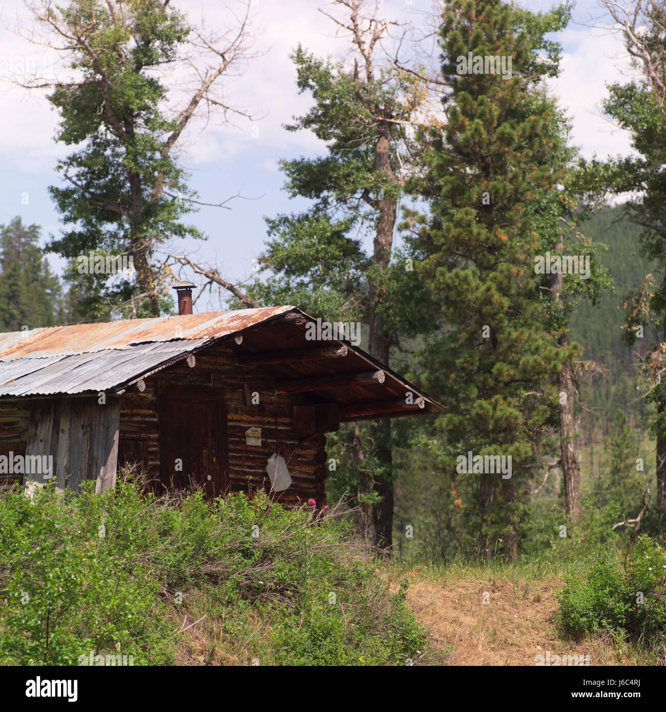 house building tree trees usa old forestry shelter path way pathway ...
