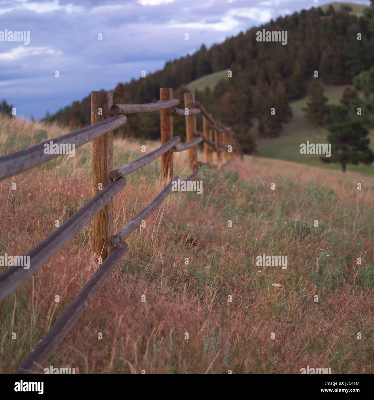 tree trees hill wood usa fence barrier fences hills meadow grass lawn ...