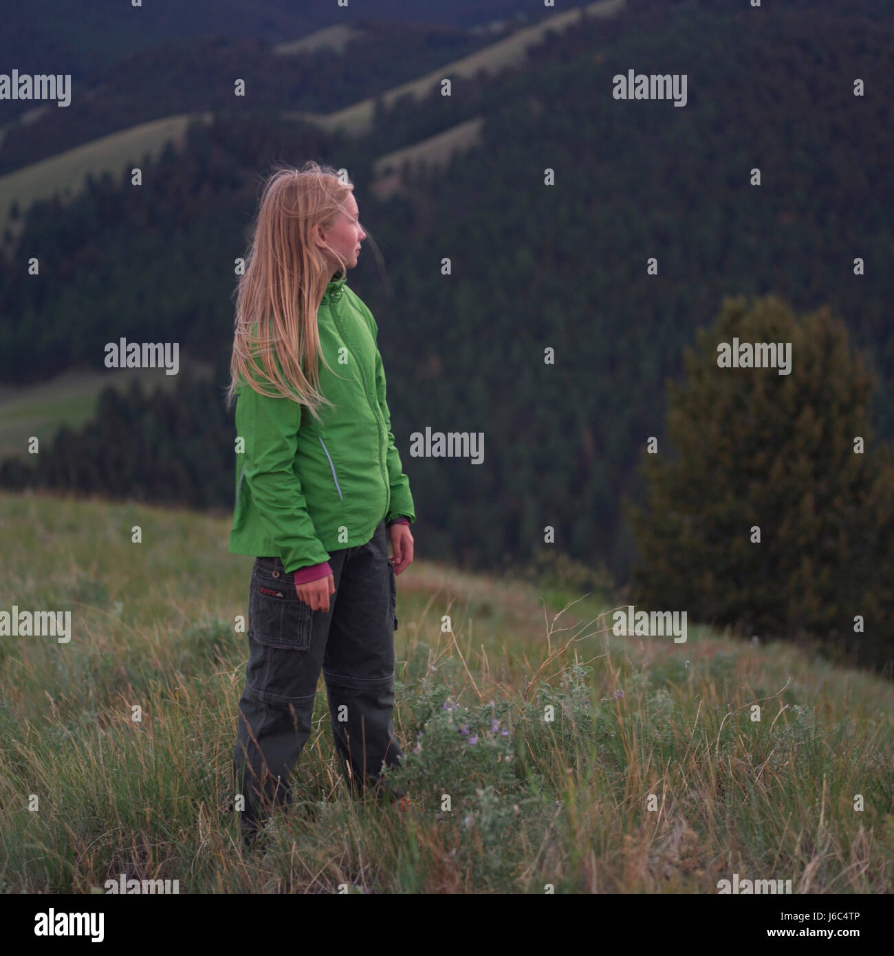 wait waiting humans human beings people folk persons human human being ...