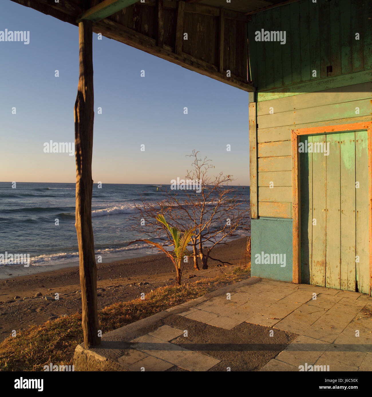 house building buildings houses tree trees beach seaside the beach ...