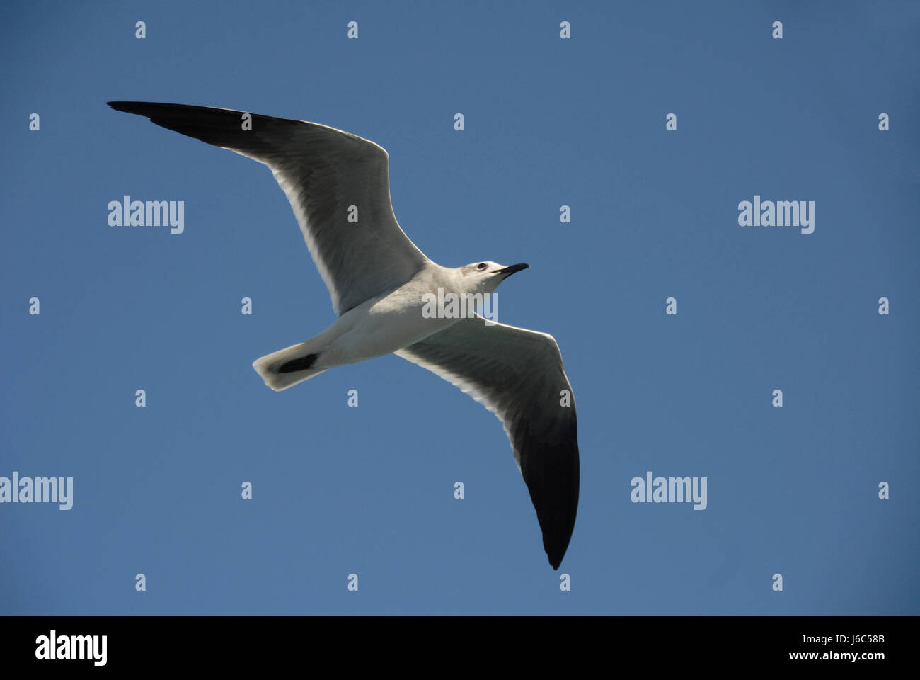 hill horizon sunset cloud central america dusk sunsets landscape ...