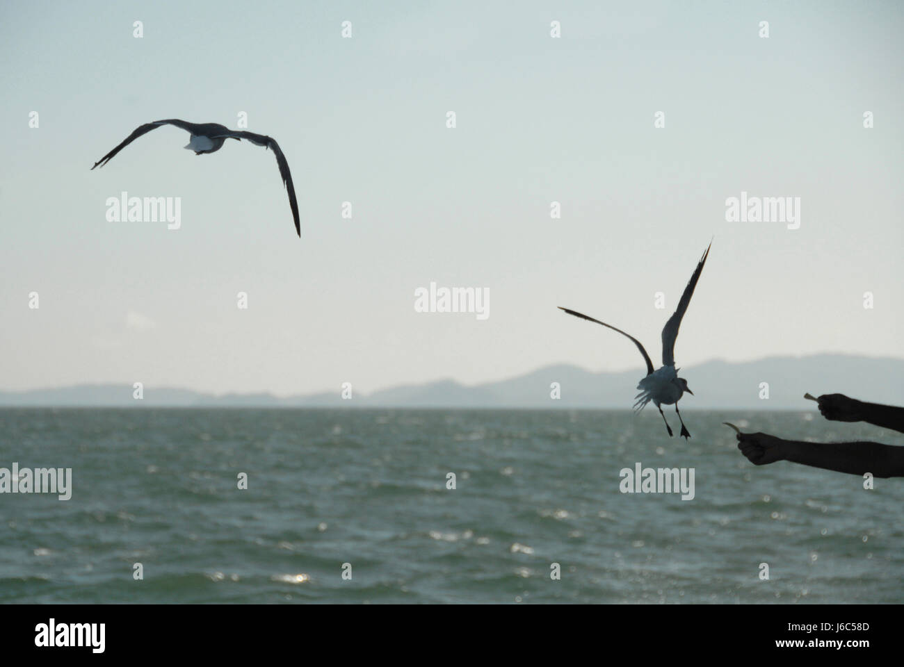 hill horizon sunset cloud central america dusk sunsets landscape ...