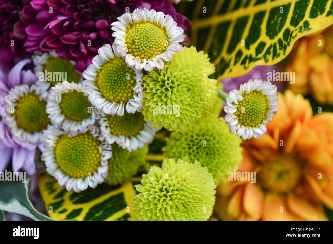 Man making flower garland hi-res stock photography and images - Alamy