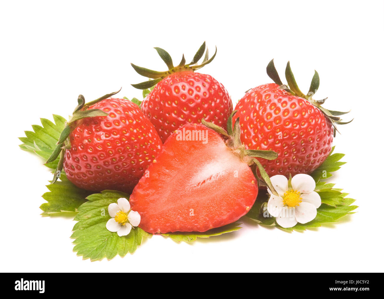 bloom blossom flourish flourishing fruit fruity strawberry berry fresh ...