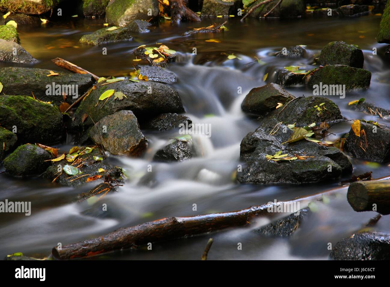 long-term exposure stream forest river water fall autumn long-term ...