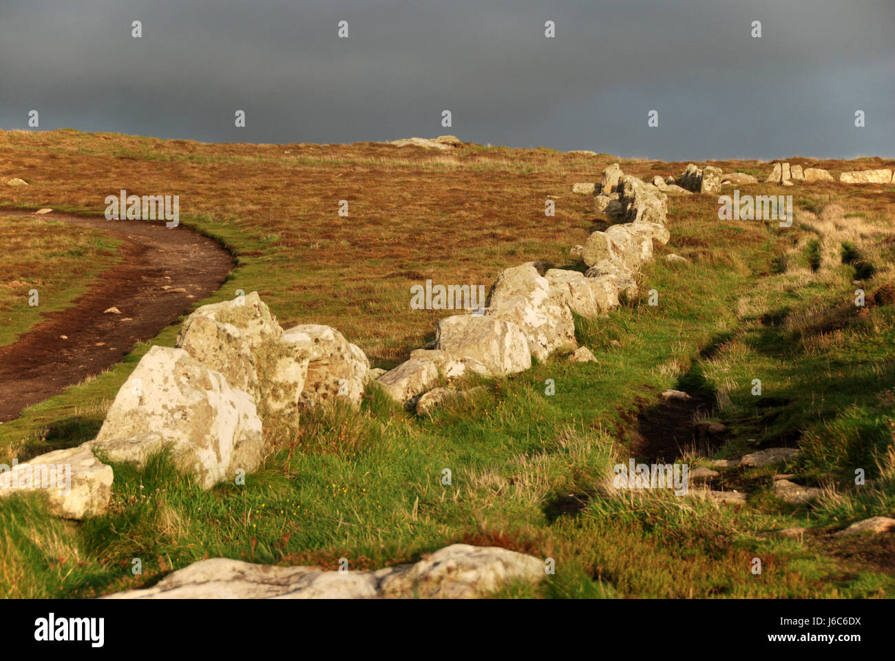 stone wall in cornwall Stock Photo - Alamy