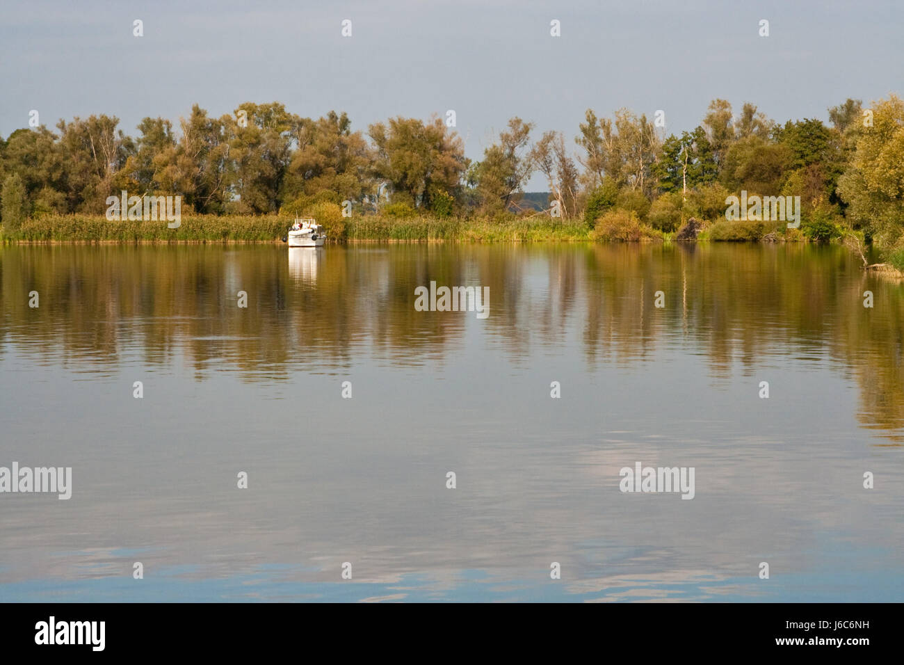 brandenburg salt water sea ocean water bank scenery countryside nature ...