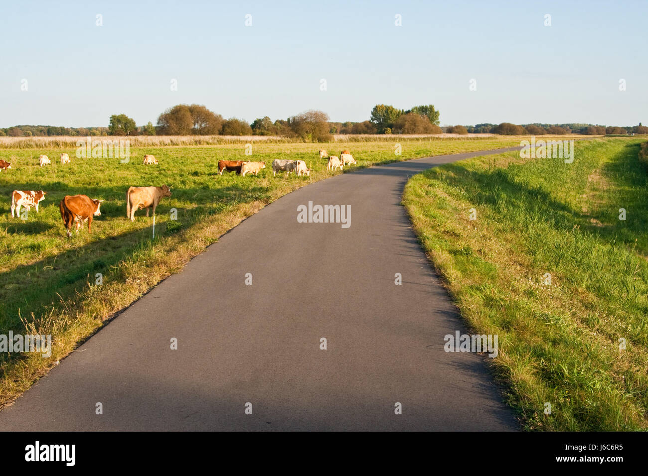 cycle track path way meadow scenery countryside nature bicycle path ...
